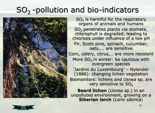 Ecological problems and solutions | PPT