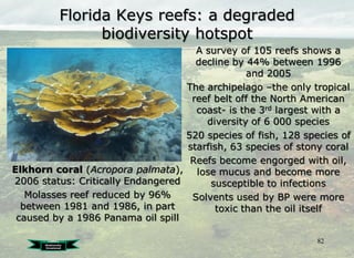 Ecological problems and solutions | PPT