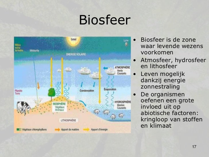 Deel 2 Ecologische begrippen