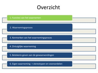 Waarneming | PPTX