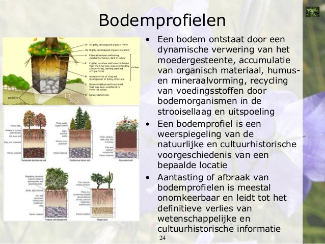 Deel 5 Invloed van de bodem op ecosytemen
