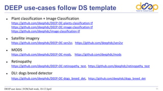 DEEP: a user success story | PDF