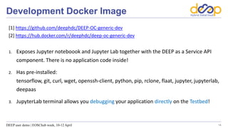DEEP: a user success story | PDF