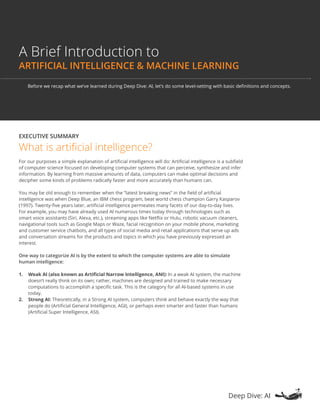 Deep-Dive-AI-final-report.pdf