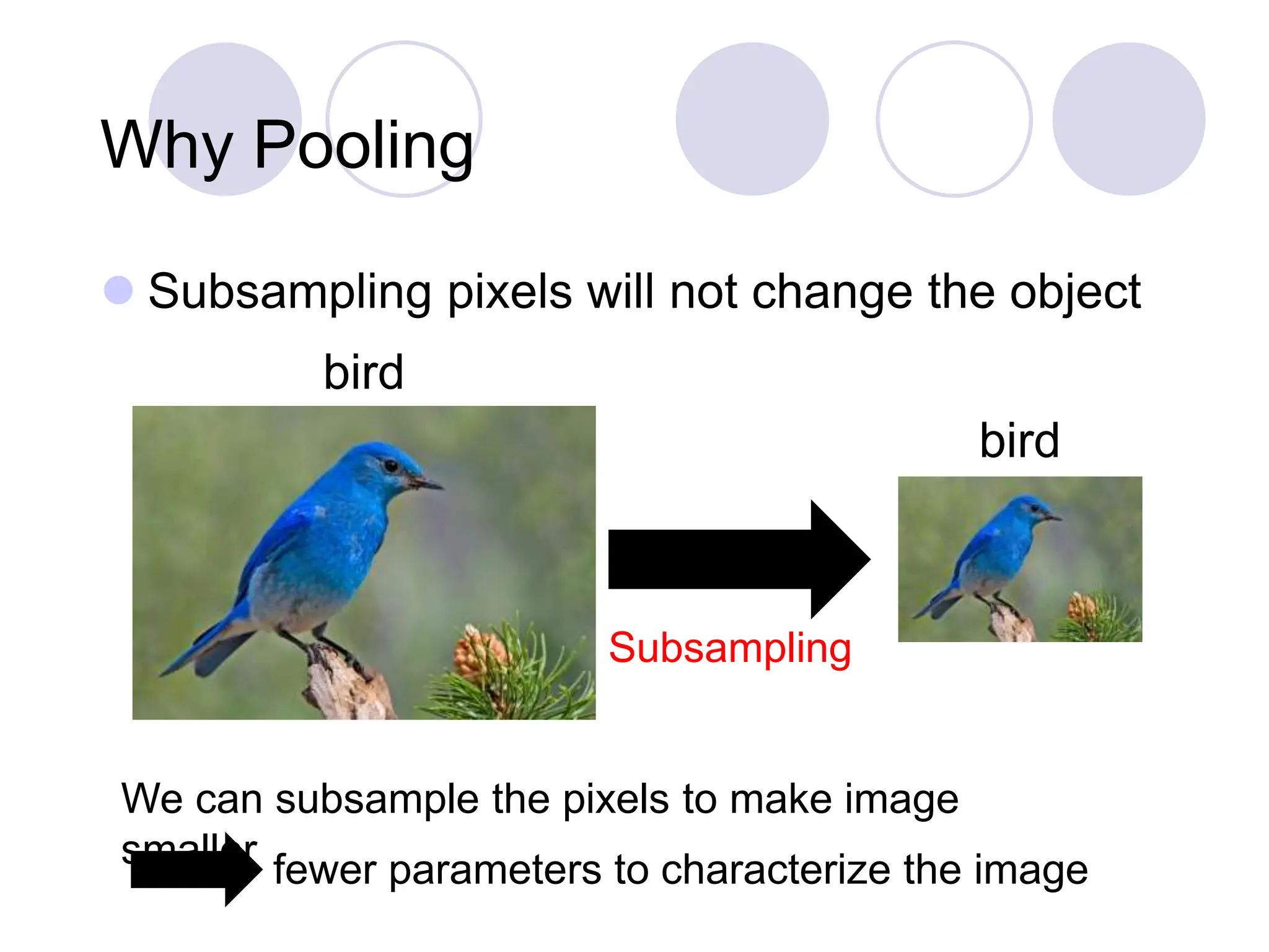 Deep Learning Convolutional Neural Networks And Sequence Modelingppt