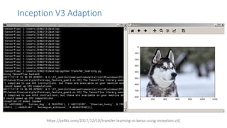 Deep Learning, all well but how deep? | PPT