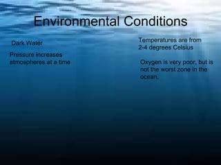 Deep Ocean | PPT