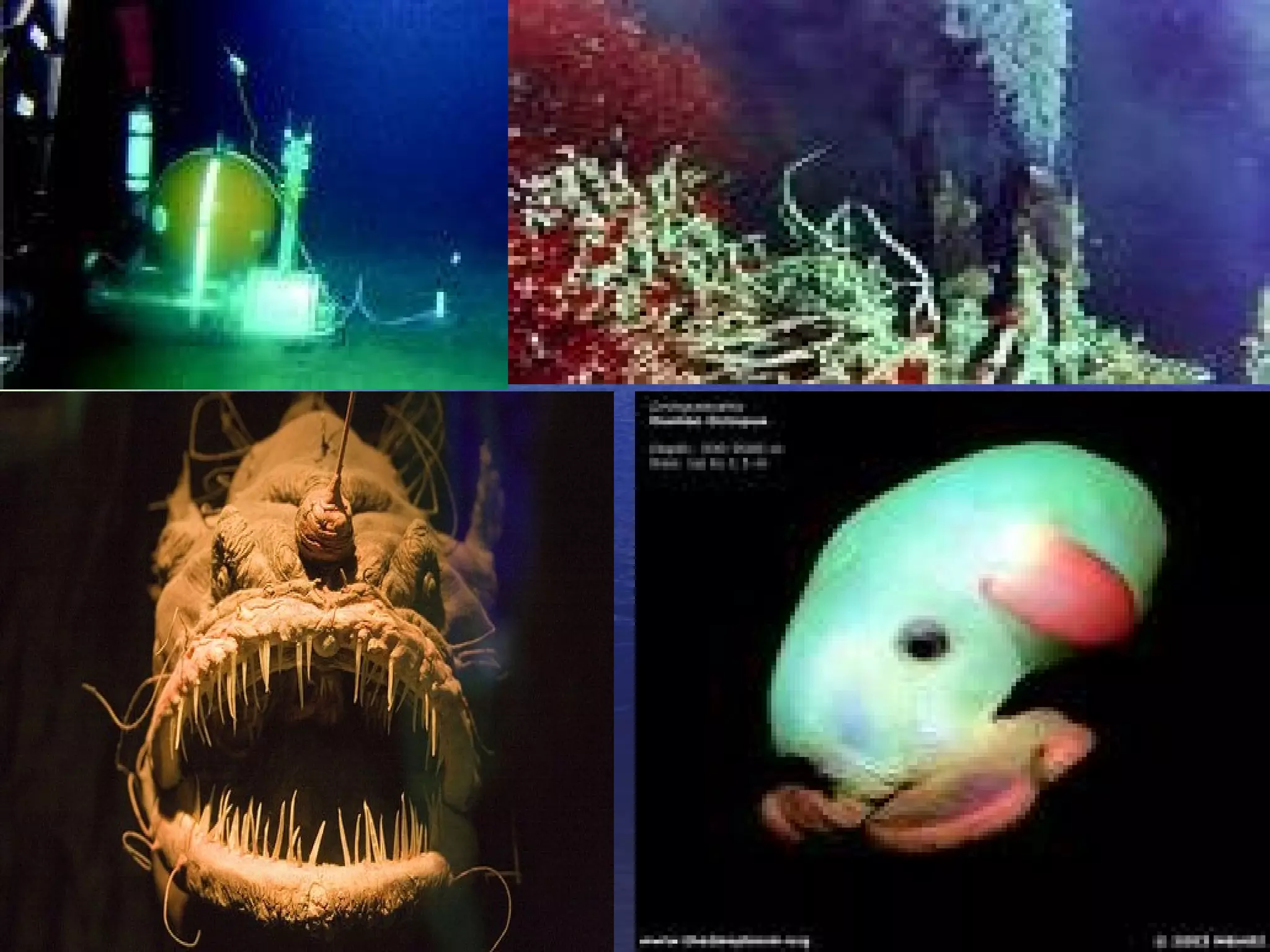 Deep Ocean | PPT | Geography | Science