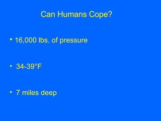 Deep Ocean Trench | PPT