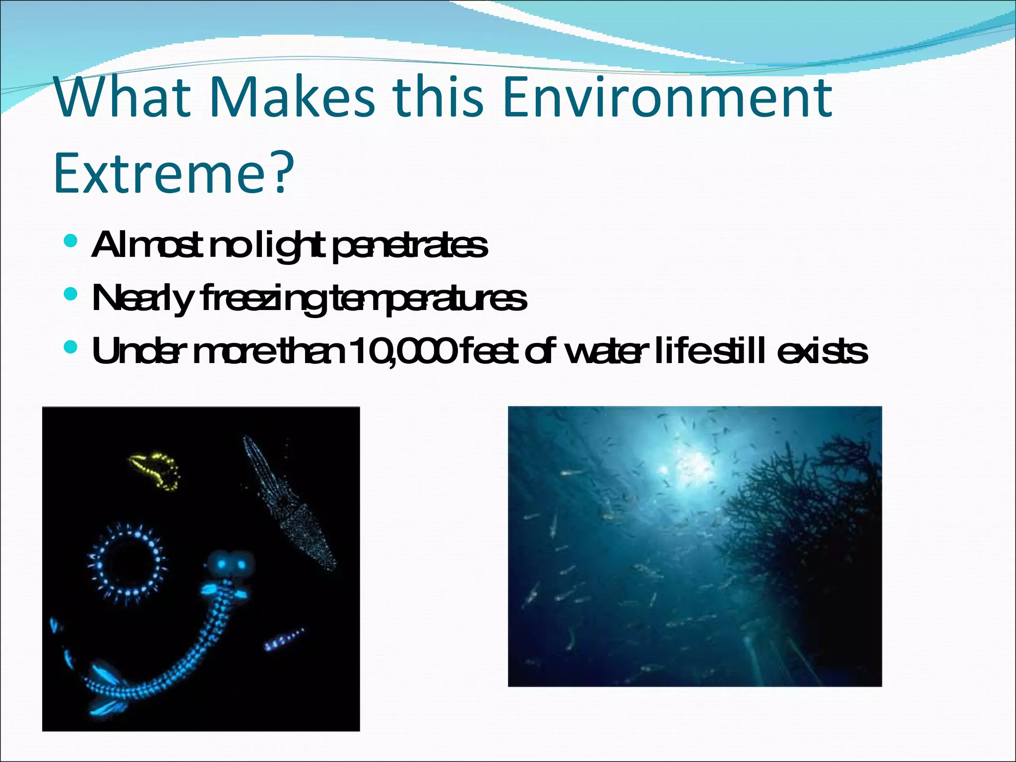 Deep Oceans | PPT