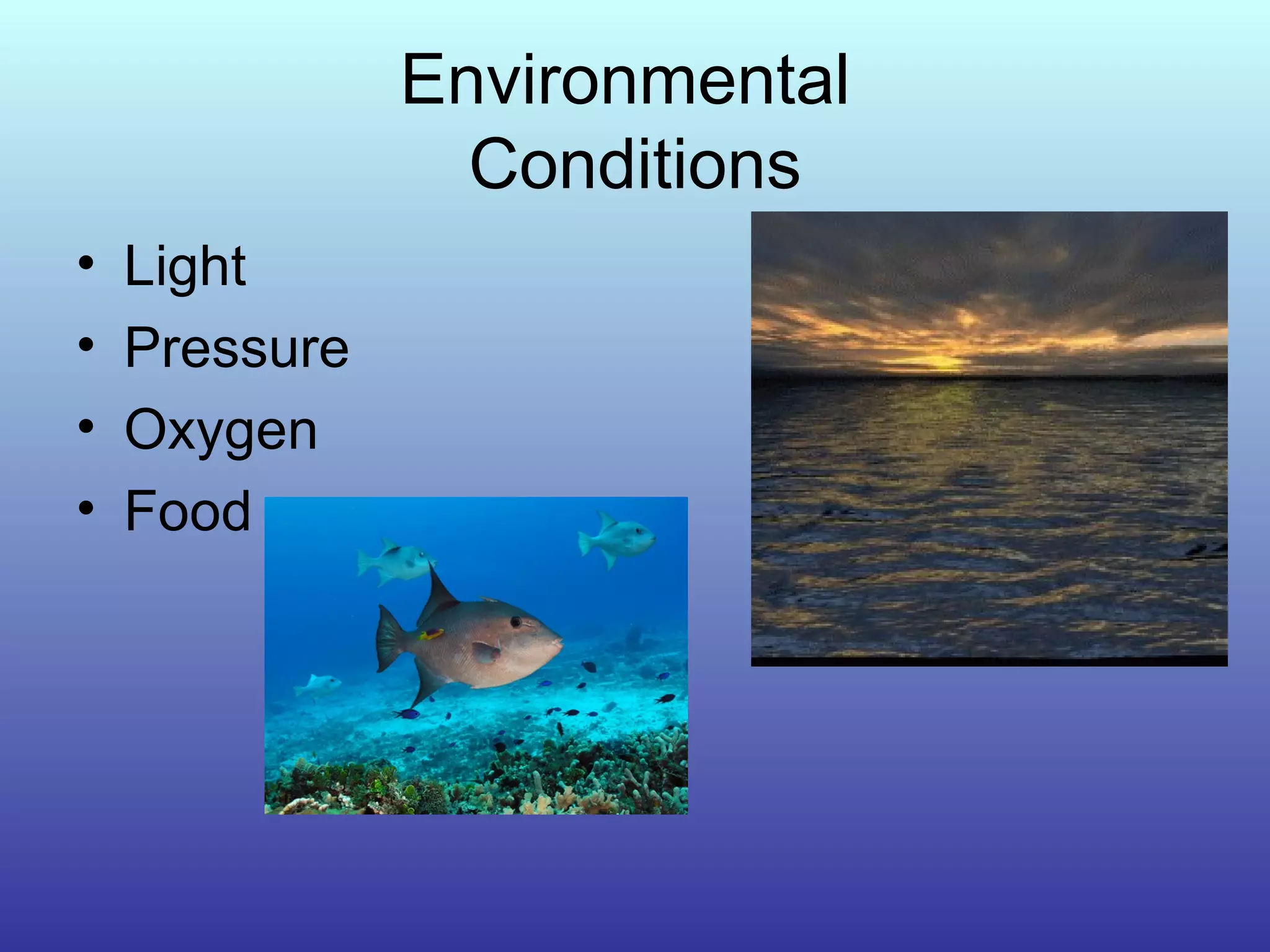 Deep Oceans | PPT