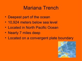 Deep Sea | PPT
