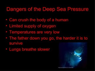 Deep Sea | PPT
