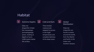 Deep-Sea-Dragonfish.ppt about dep sea dragonfish | PPTX