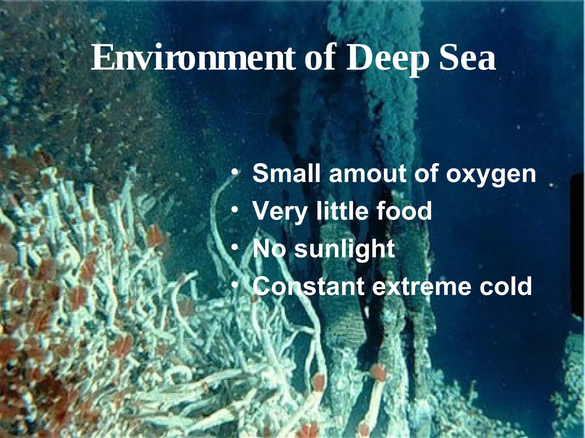 DEEP sea | PPT
