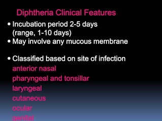 Corynebacterium diphtheria clinical diagnosis | PPTX
