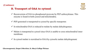 Biochemistry:Gluconeogenesis | PPTX | Endocrine and Metabolic Diseases ...