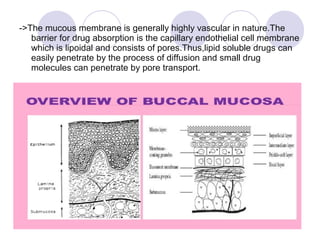 Factors affecting oral absorption by- Deepak kumar | PPT