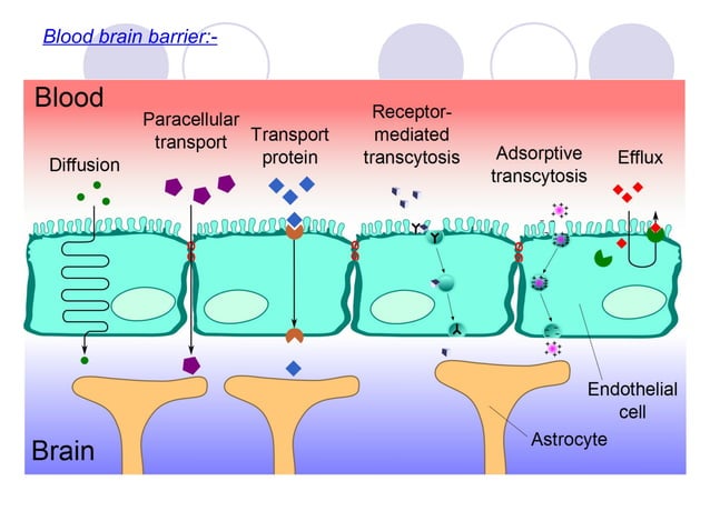 Factors affecting oral absorption by- Deepak kumar | PPT