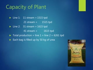 urea production | PPTX
