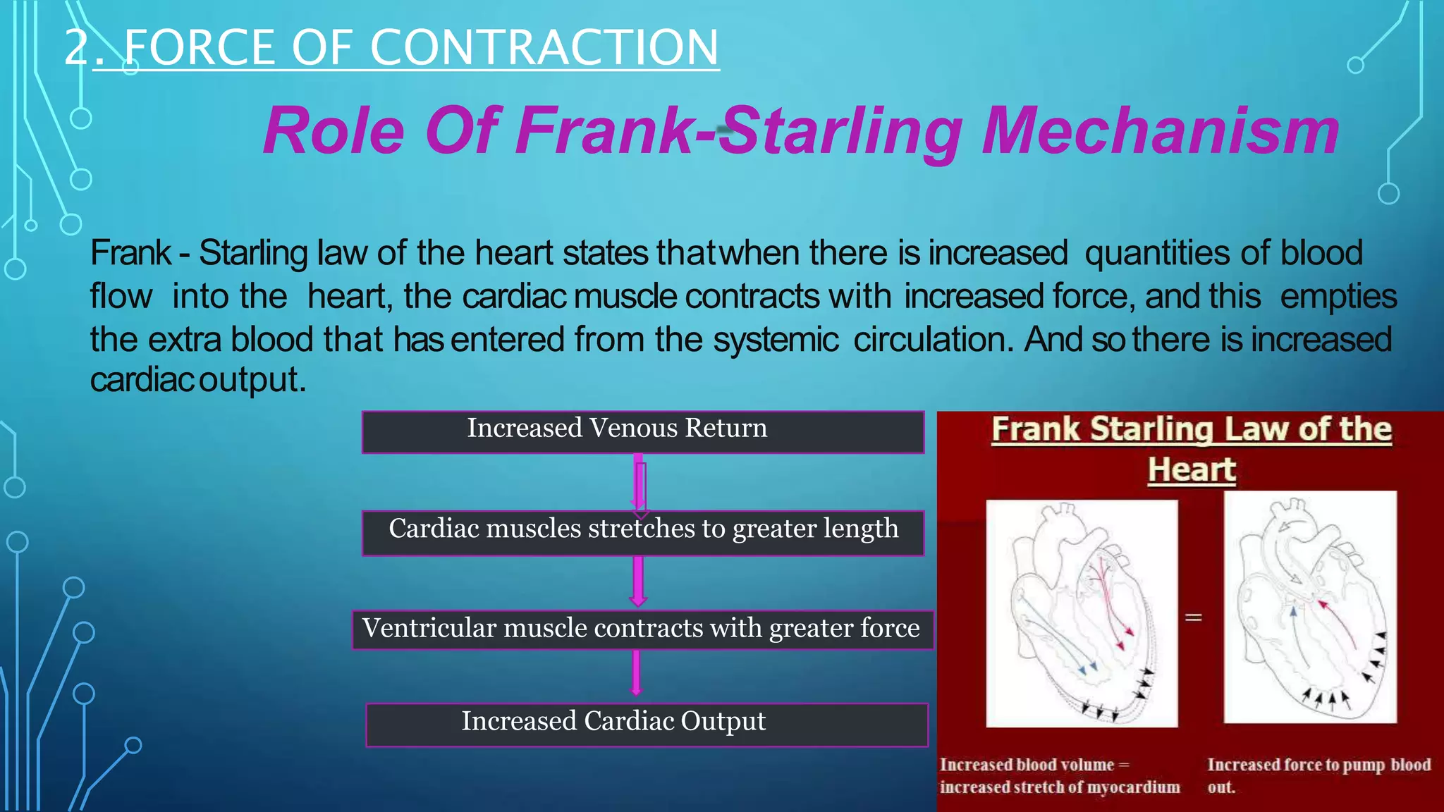 DETERMINANTS AND FACTORS AFFECTING CARDIAC OUTPUT | PPTX DETERMINANTS AND FACTORS AFFECTING CARDIAC OUTPUT | PPTX