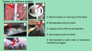 Development of Techniques in Improving Irrigation Water Quality ...
