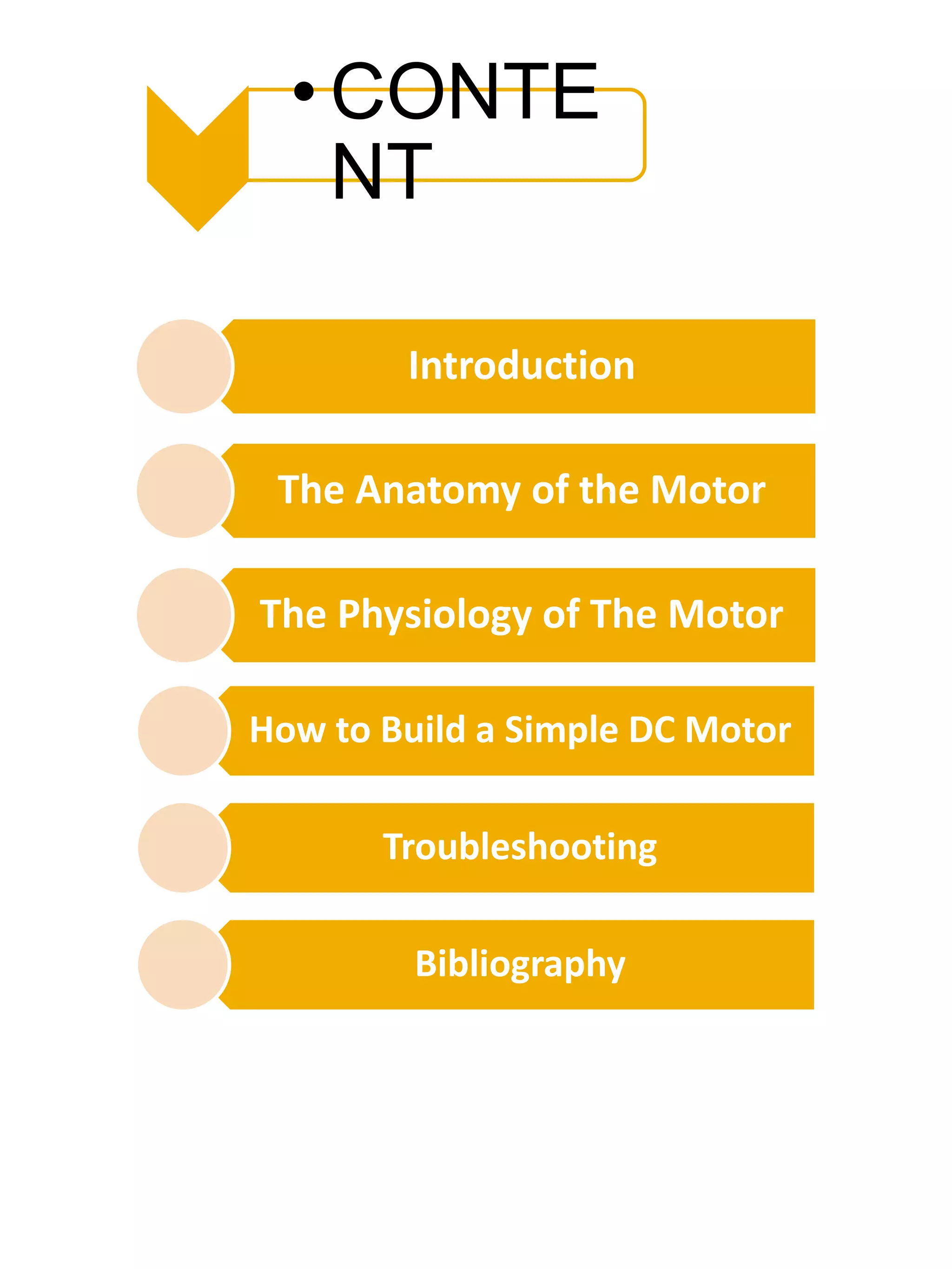 CBSE Class 12 Physics Investgatory Project file "SIMPLE DC MOTOR" | PPTX