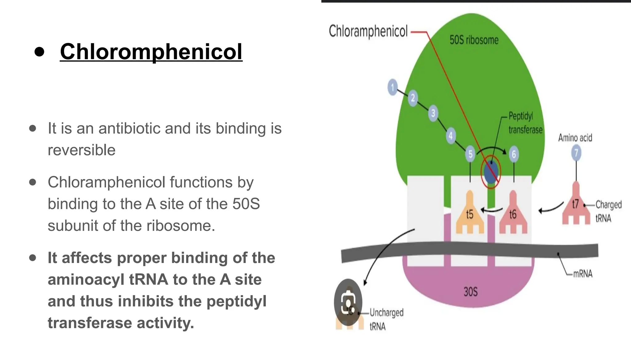 Inhibitors of Dna replication, transcription and translation | PPTX