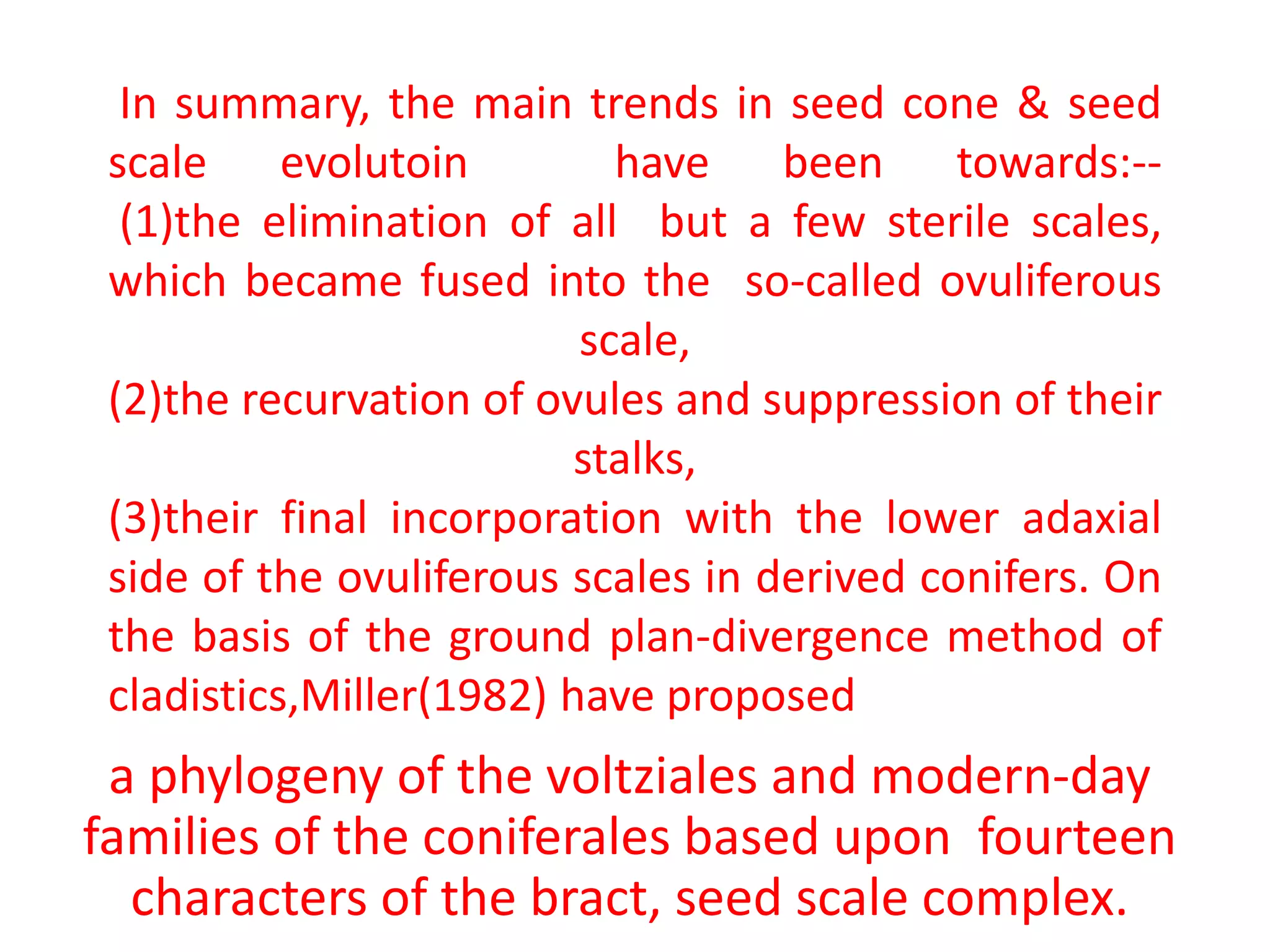 SEED SCALE COMPLEX GYMNOSPERMS | PPTX