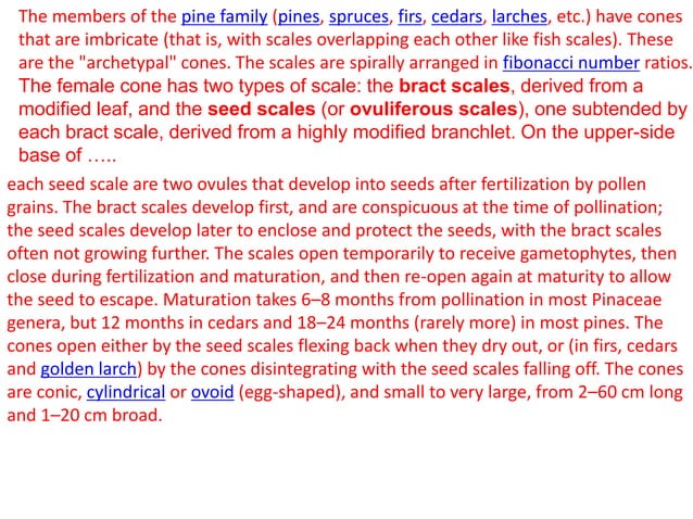 SEED SCALE COMPLEX GYMNOSPERMS | PPTX