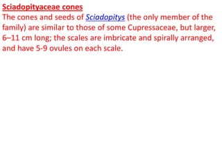 SEED SCALE COMPLEX GYMNOSPERMS | PPTX