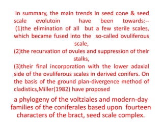 SEED SCALE COMPLEX GYMNOSPERMS | PPTX