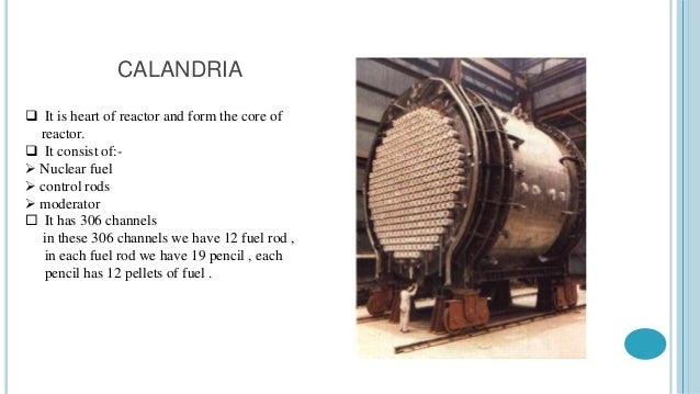 nuclear power plant ppt RAPS