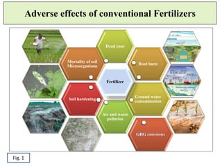 SMART FERTILIZERS FOR FOOD SECURITY AND ENVIRONMENTAL SAFETY | PPTX