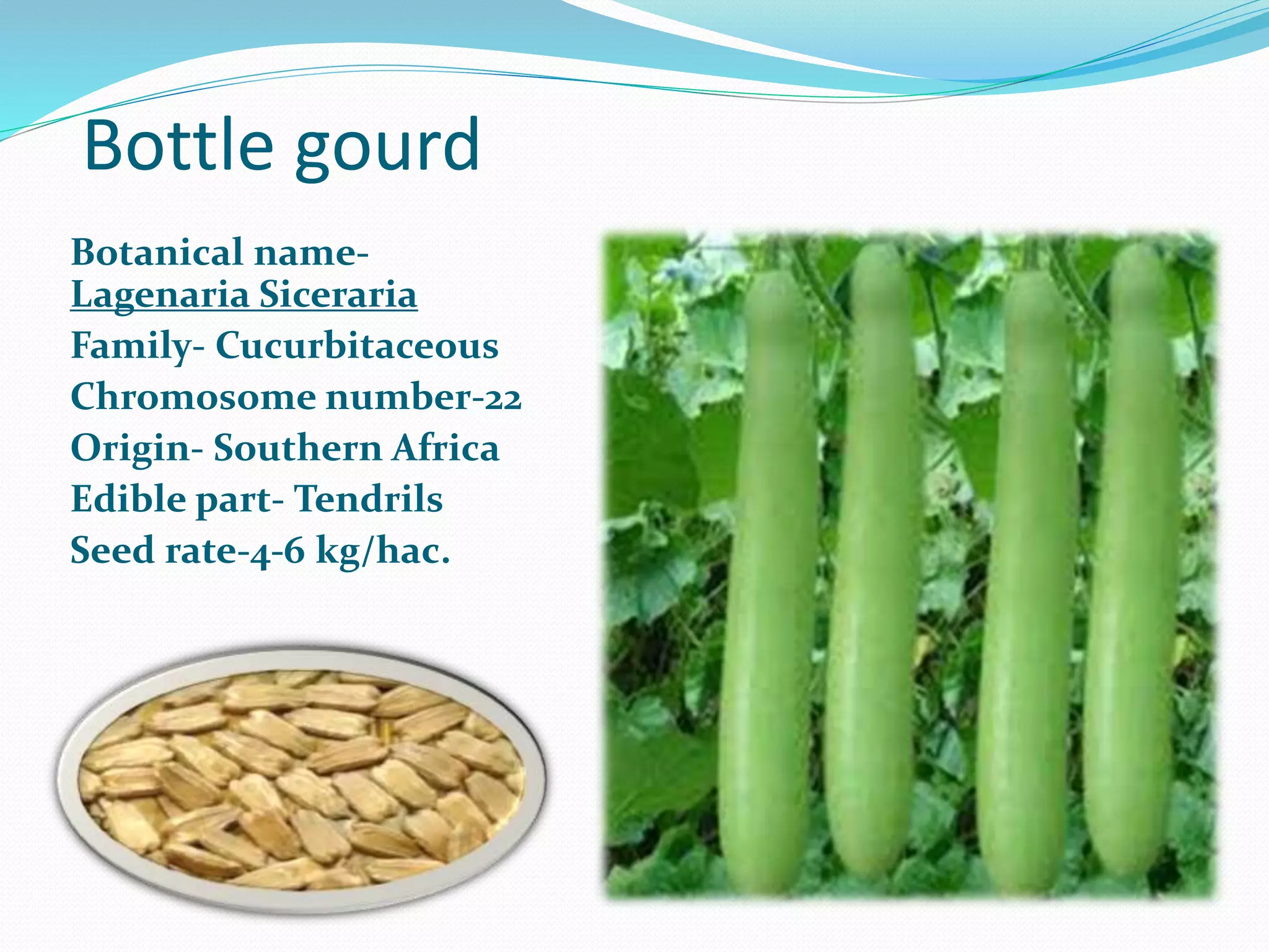 Common Vegetable Crops Identification & Seed Rates | PPTX