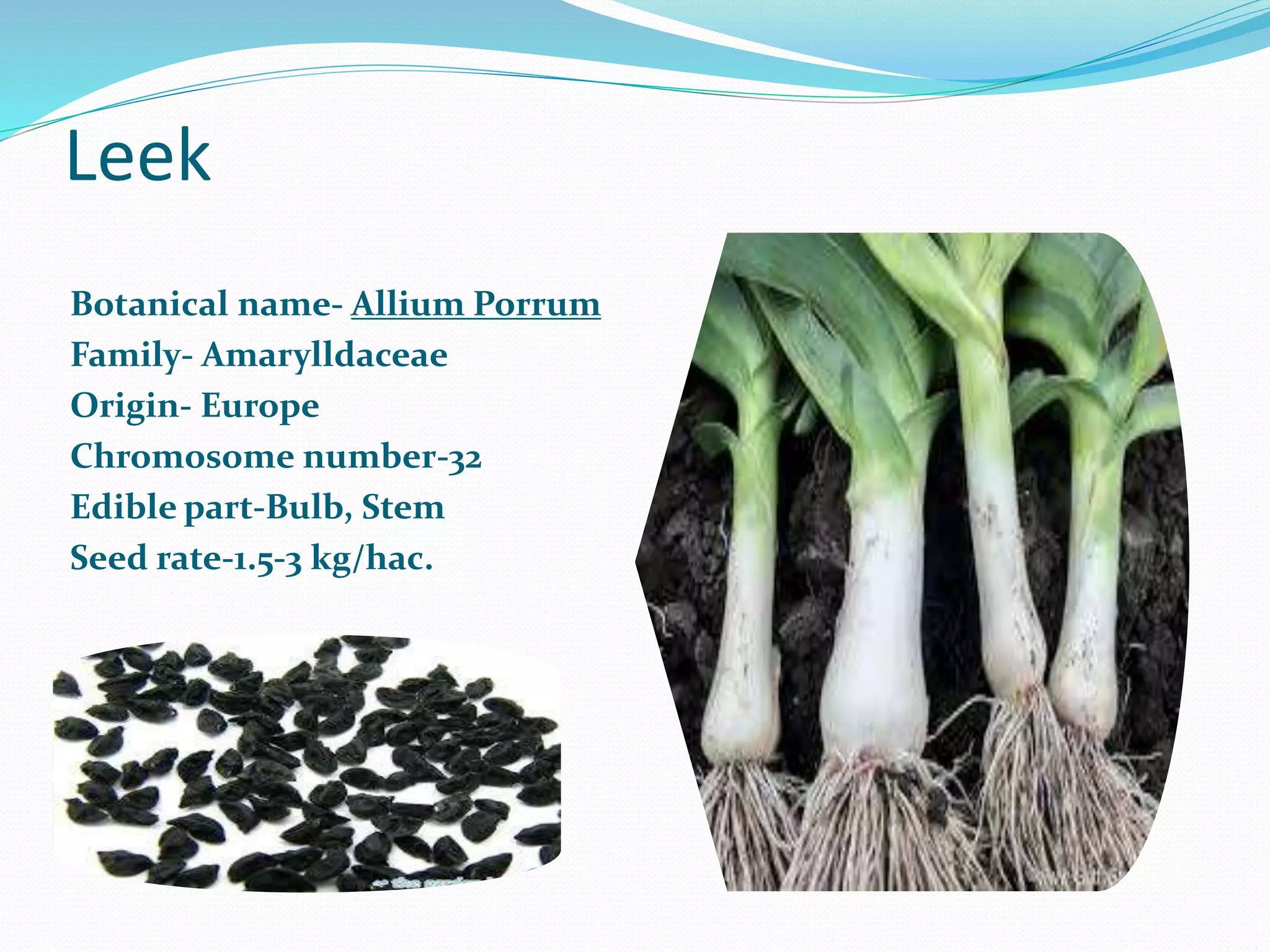Common Vegetable Crops Identification & Seed Rates | PPTX