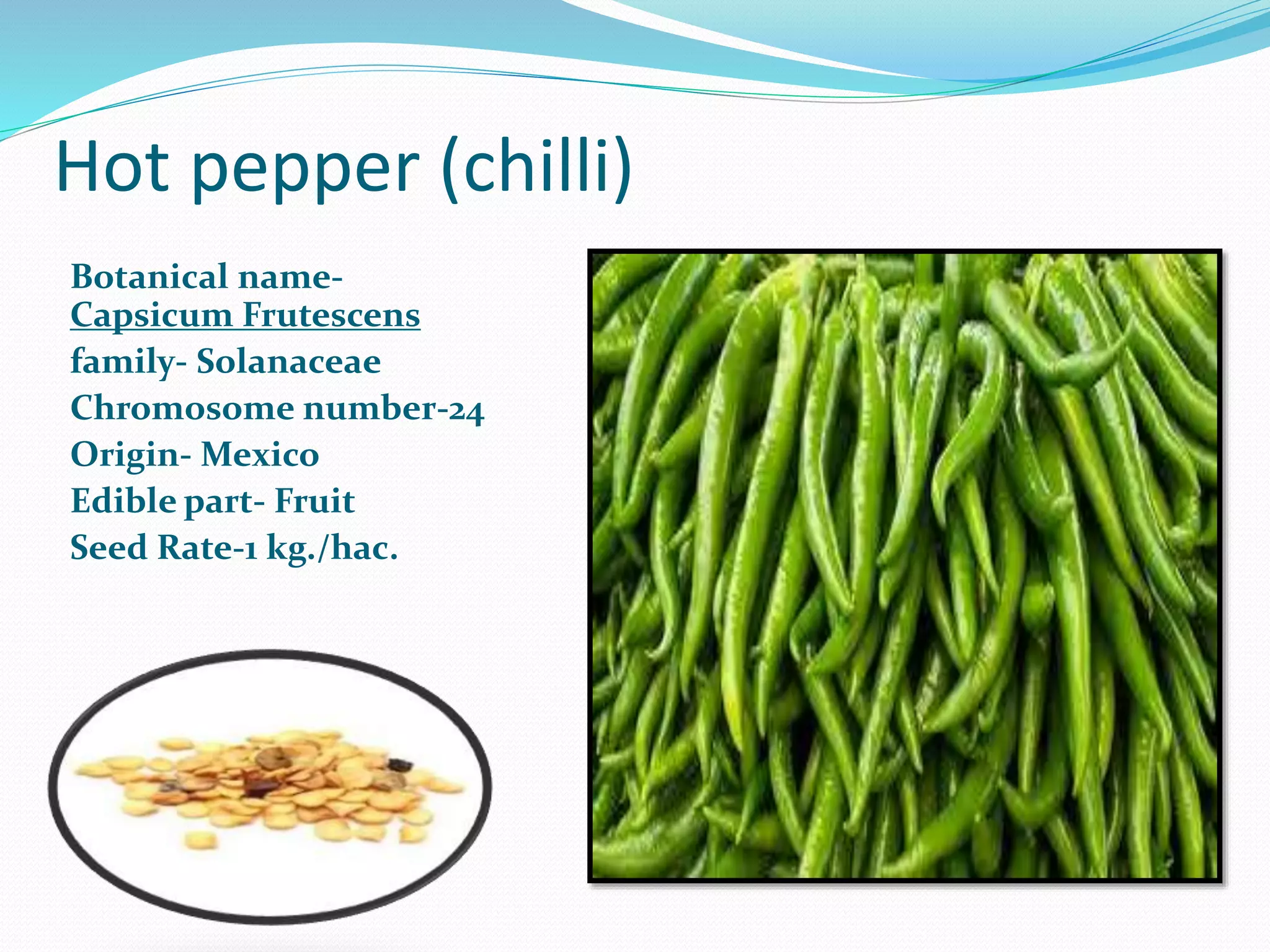 Common Vegetable Crops Identification & Seed Rates | PPTX