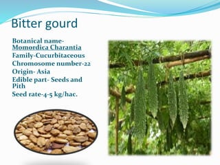 Common Vegetable Crops Identification & Seed Rates | PPTX