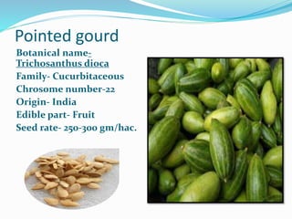 Common Vegetable Crops Identification & Seed Rates | PPTX