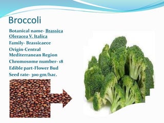 Common Vegetable Crops Identification & Seed Rates | PPTX
