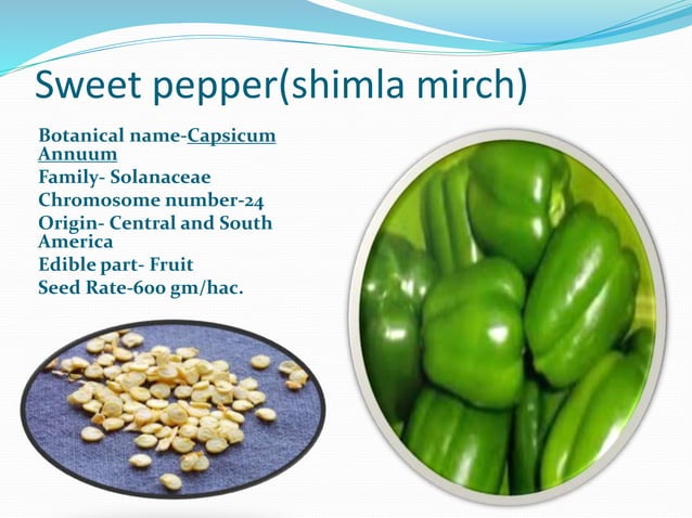 Common Vegetable Crops Identification & Seed Rates | PPTX | Gardening ...