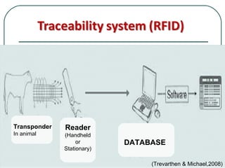 Radio Frequency Identification (RFID) for Livestock Identification by ...