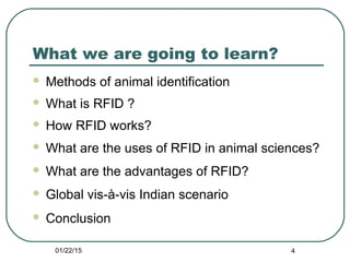 Radio Frequency Identification (RFID) for Livestock Identification by ...