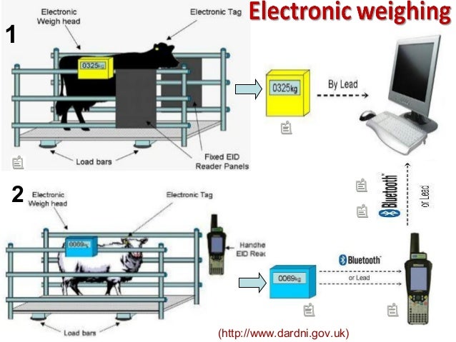 Radio Frequency Identification (RFID) fro Livestock Identification by…
