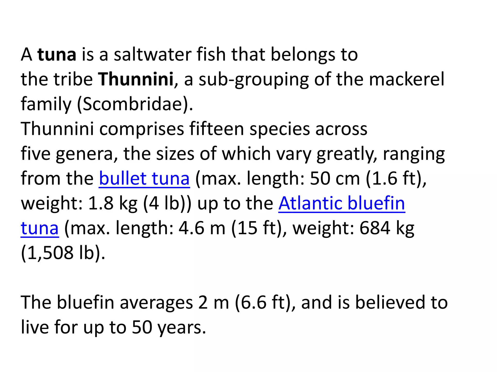 Important Palegic Fishes | PPTX