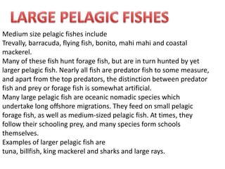 Important Palegic Fishes | PPTX | Fish and Aquariums | Pets
