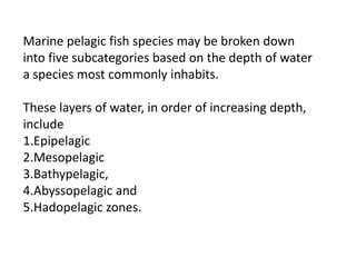 Important Palegic Fishes | PPTX | Fish and Aquariums | Pets