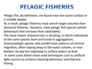 Important Palegic Fishes | PPT