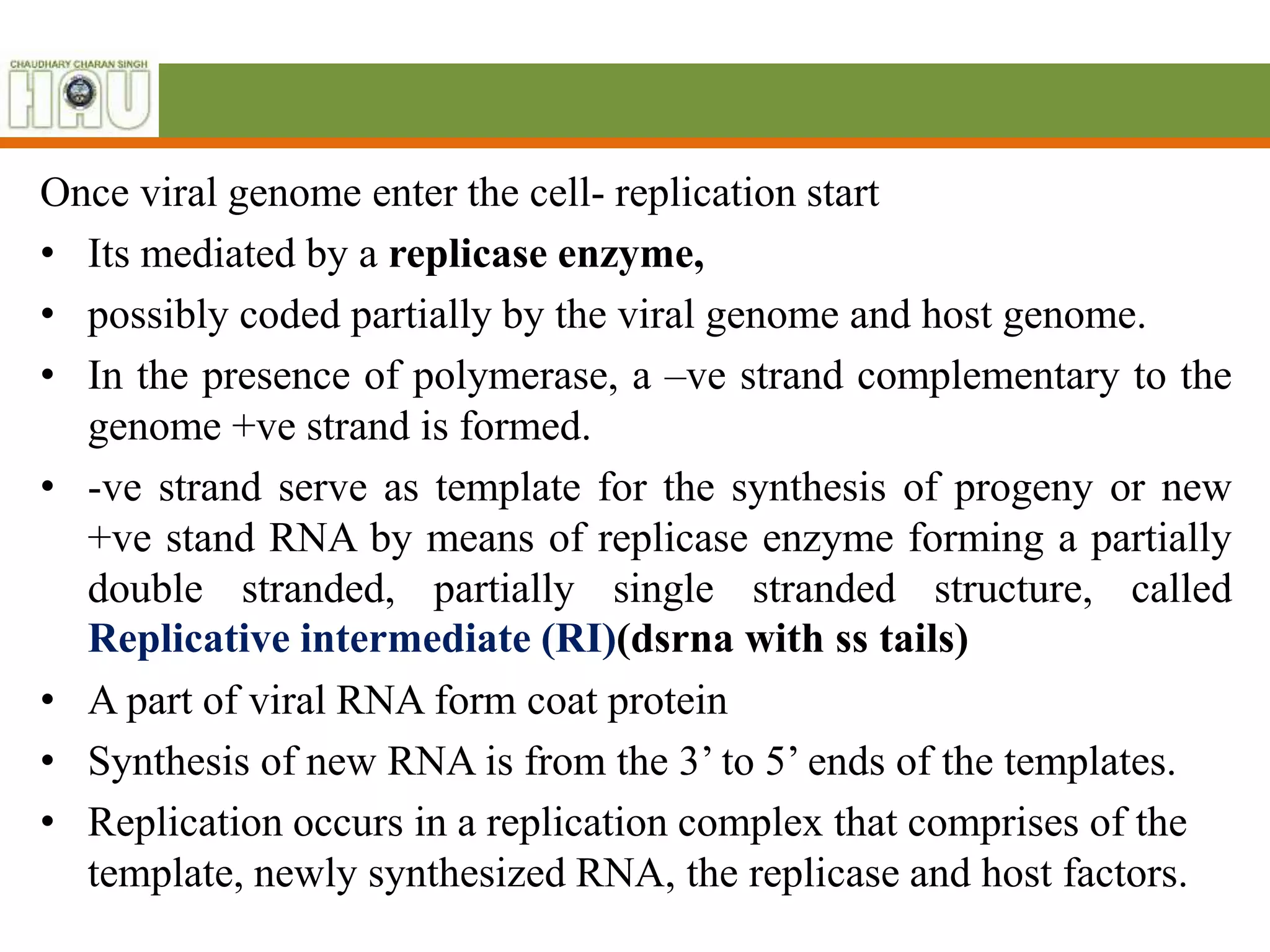 deepak virology tmv.pptx