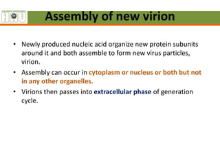 deepak virology tmv.pptx